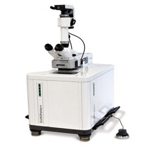 EUROPattern - IFA diagnostics - Automation | EUROIMMUN US