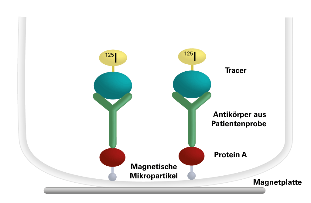 Radioimmunoassays | RIA | IRMA | Euroimmun US