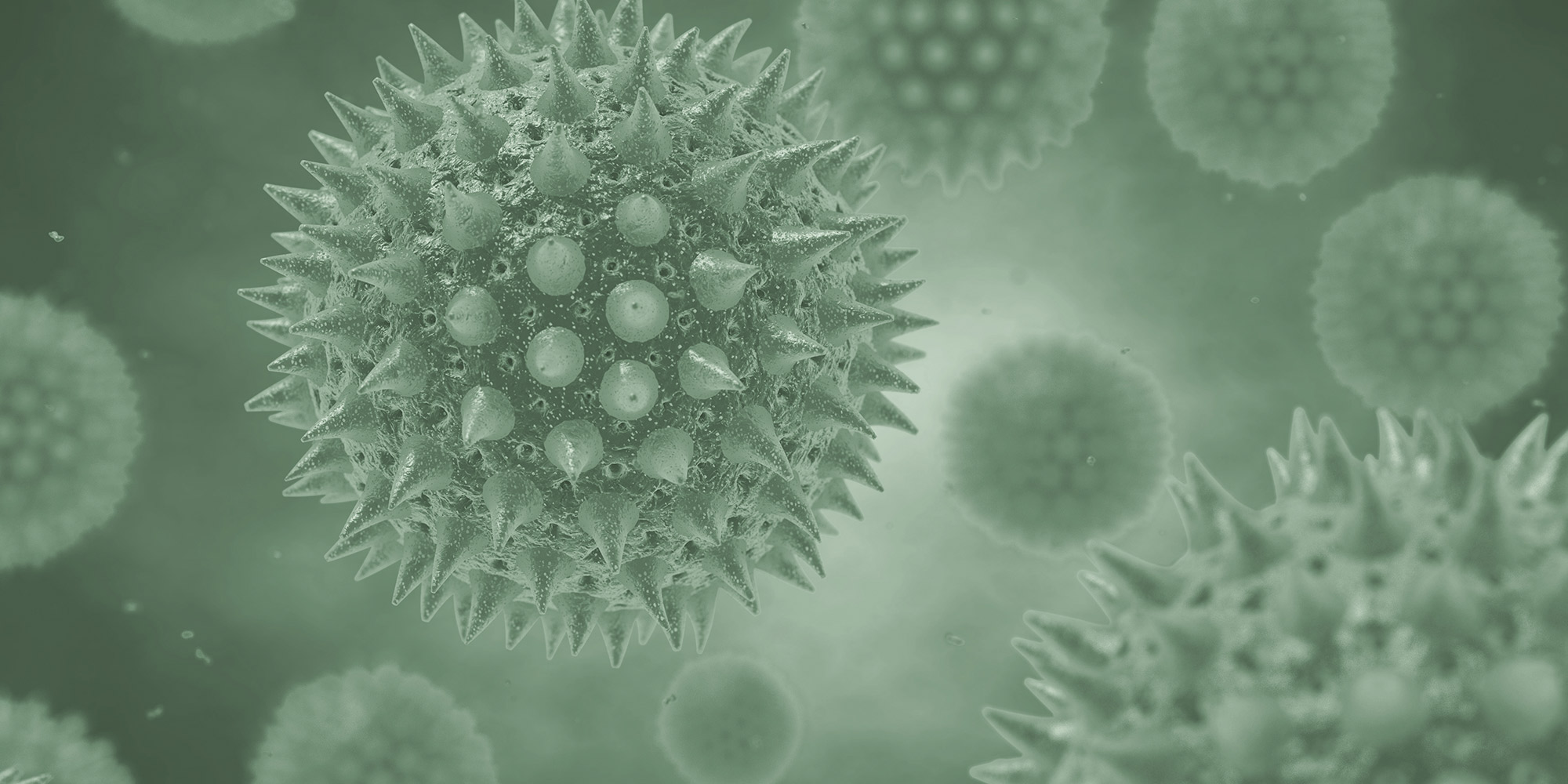 Contact Allergy Product Team | Euroimmun US