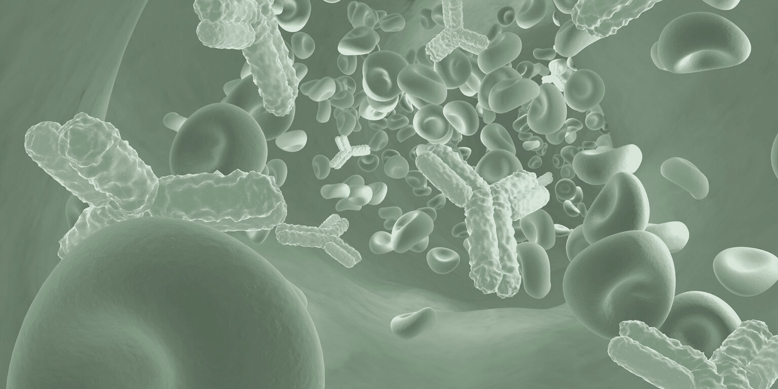 Contact Autoimmune Product Team | Euroimmun US