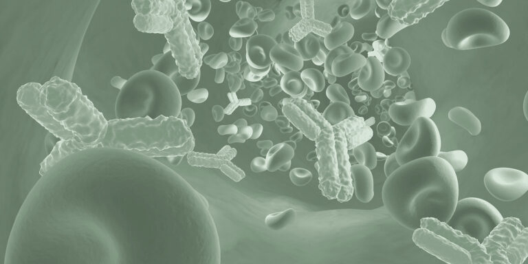 Contact Autoimmune Product Team | Euroimmun US