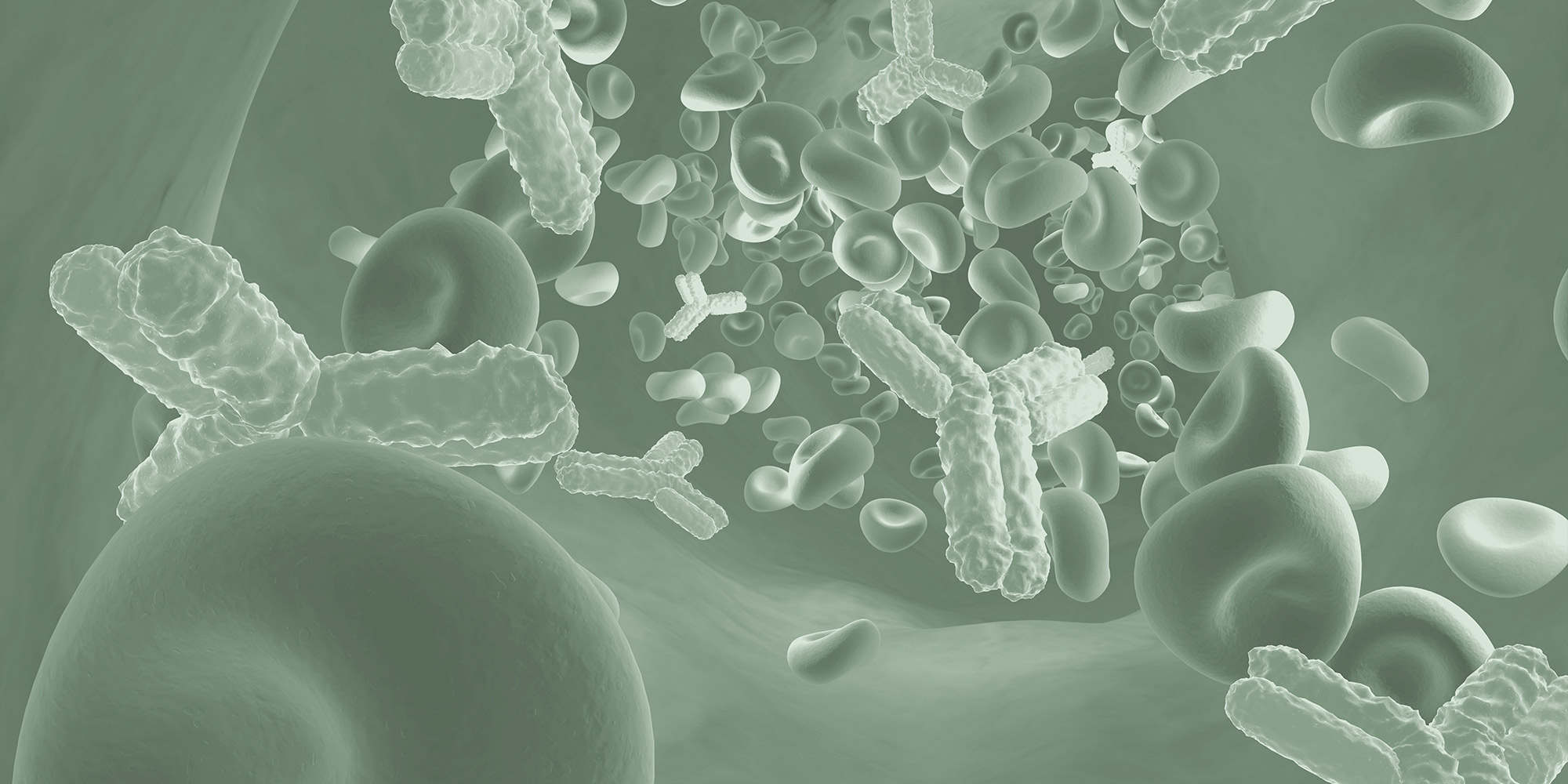 Contact Autoimmune Product Team | Euroimmun US