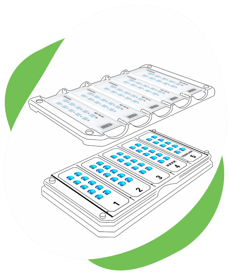 IFA | Indirect immunofluorescence tests | Euroimmun US